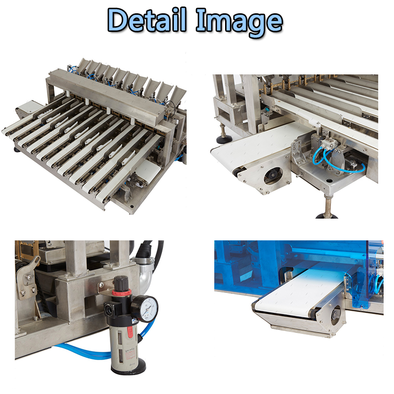 High-Speed Multiple Track Checkweigher Automatic Inline Multi-Lane ...
