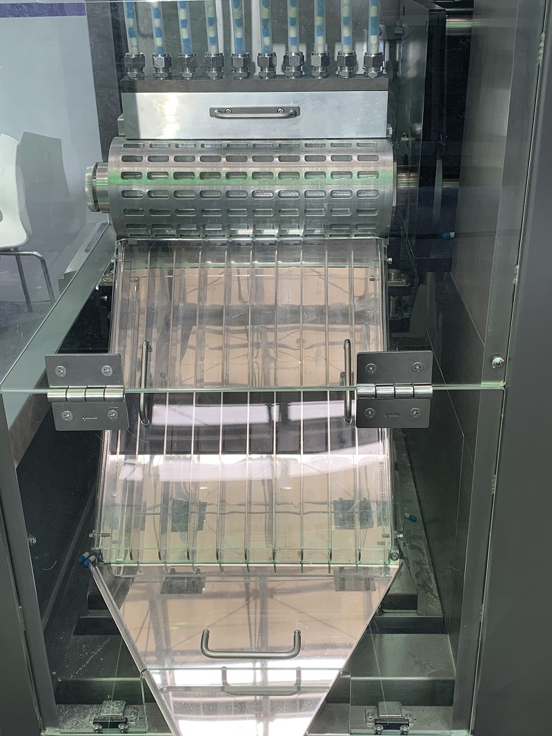 Capsules Pills Tablets Automatic Professional Check Weigher-SG